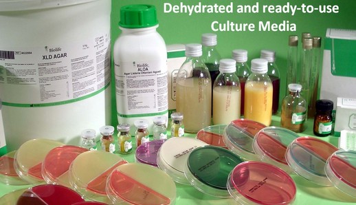 S&S Bioproducts Co.,Ltd.